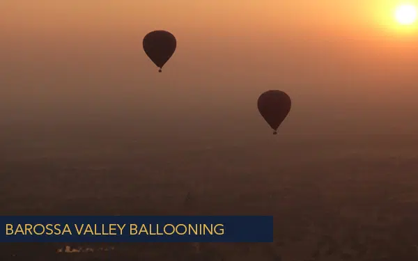 Barossa Valley Ballooning Review: Breathtaking Views