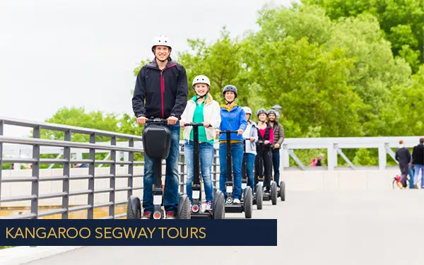 Explore Brisbane's Landmarks with Kangaroo Segway Tours